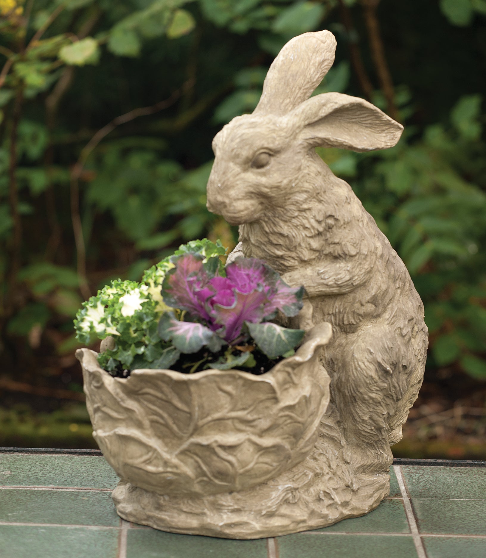 Bunny Cabbage Planter – Charleston Gardens