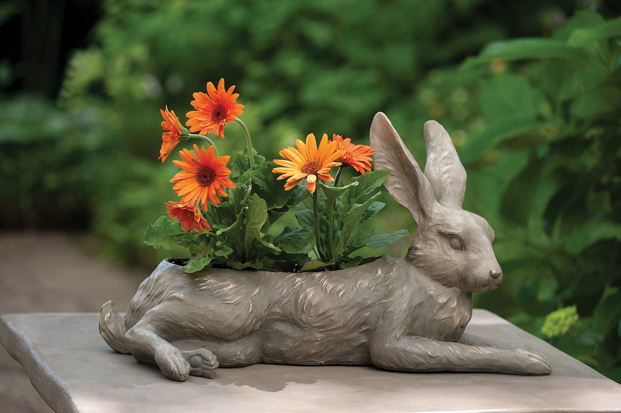 Bunny at Rest Planter – Charleston Gardens