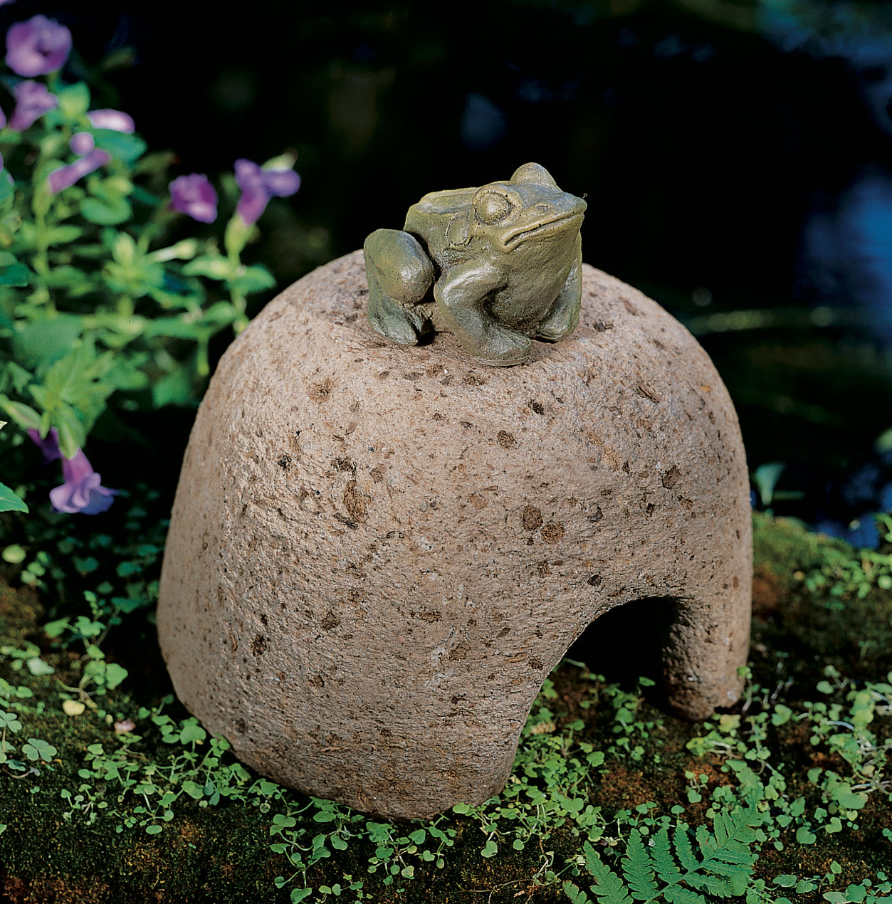 Toad House – Charleston Gardens